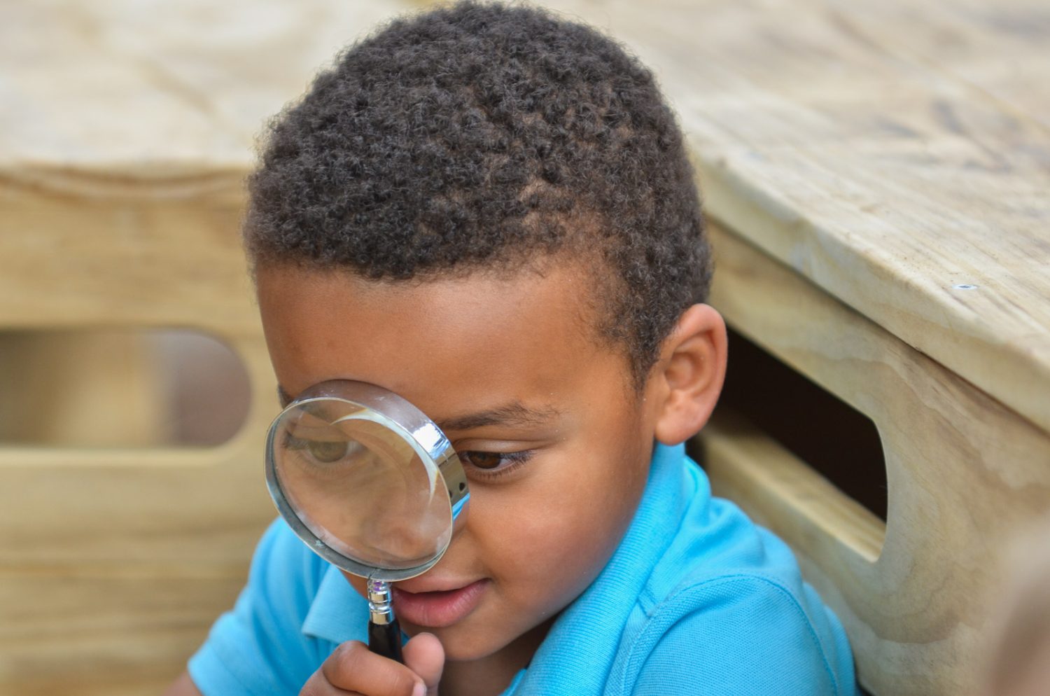 Showcase Projects and Gallery Images: A Comprehensive Guide - Outclass